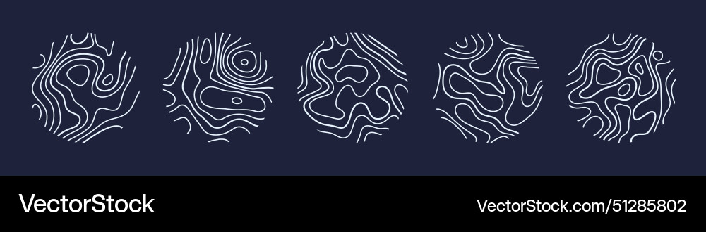 Circular wood rings or topographic map lines Vector Image