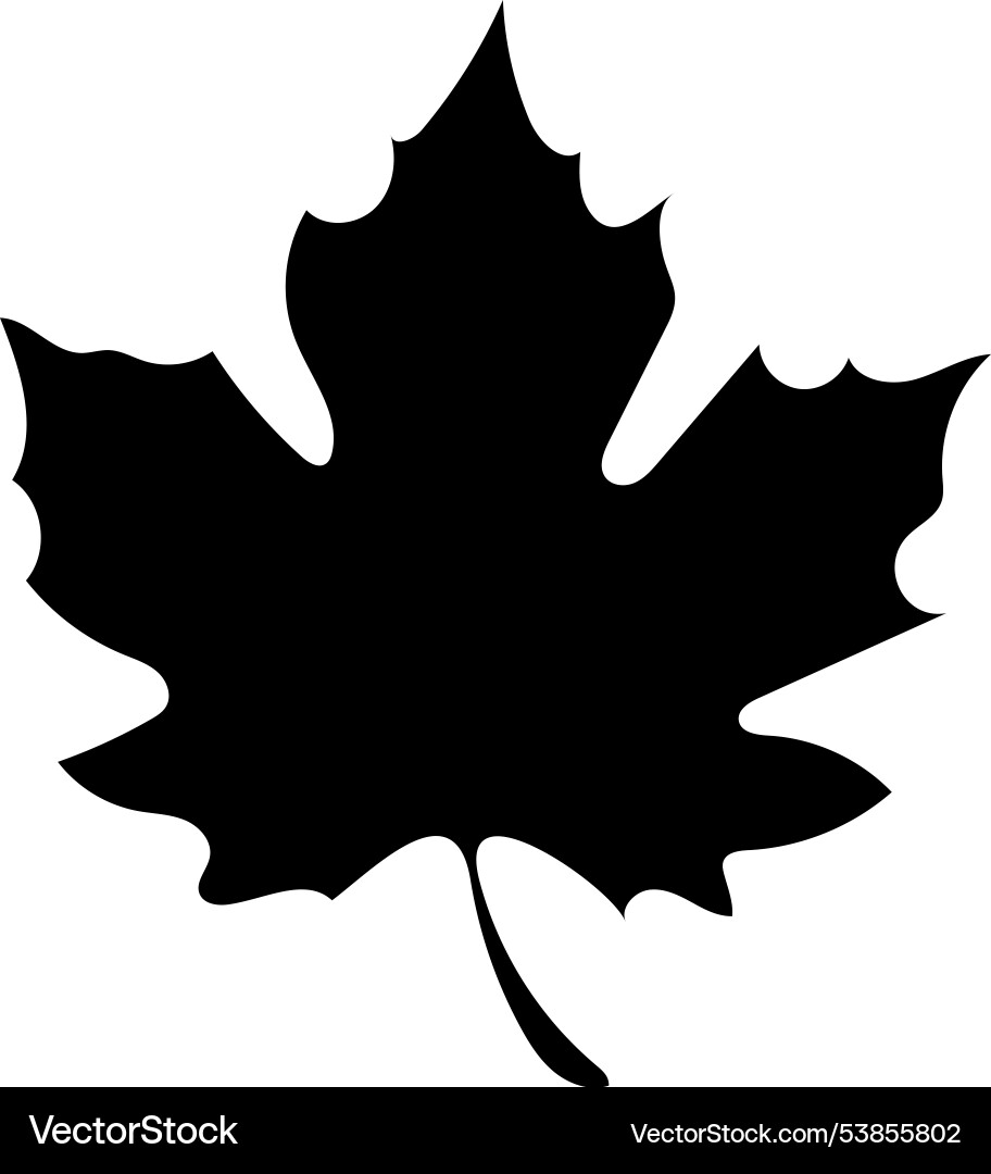 Maple leaf silhouette Royalty Free Vector Image