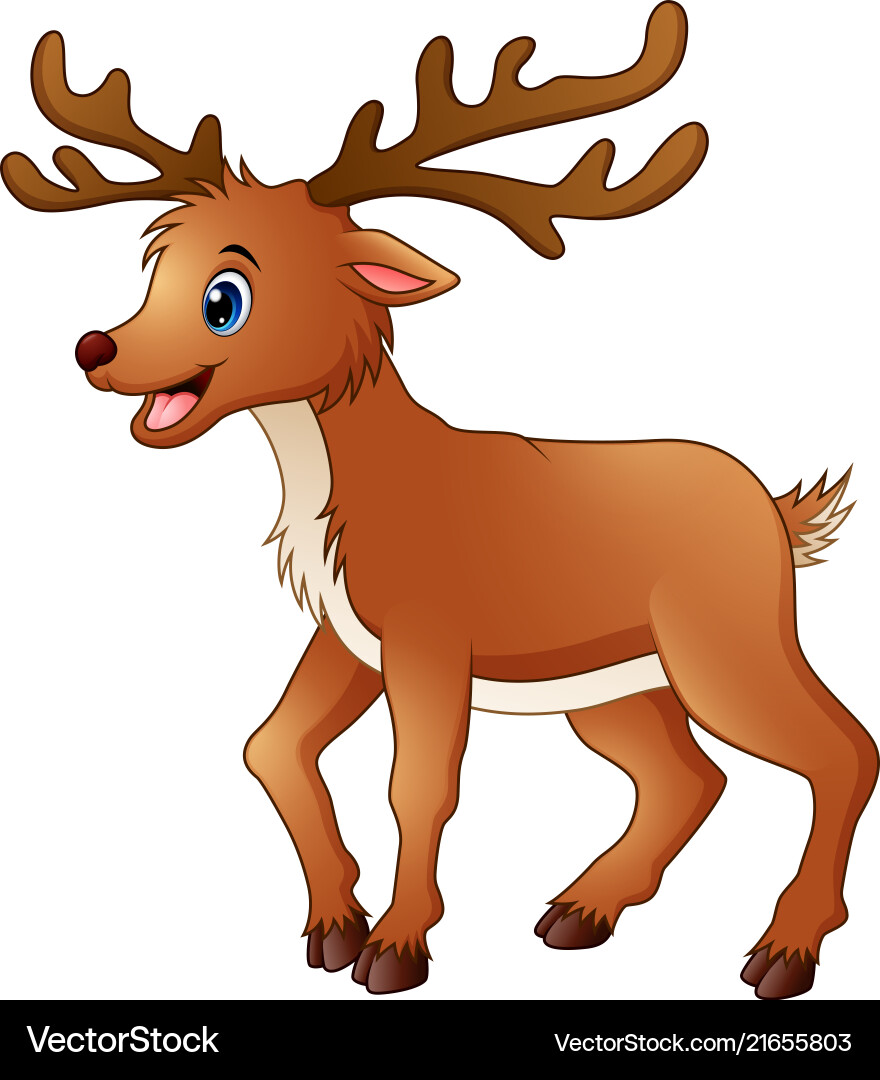 Cute deer cartoon Royalty Free Vector Image - VectorStock