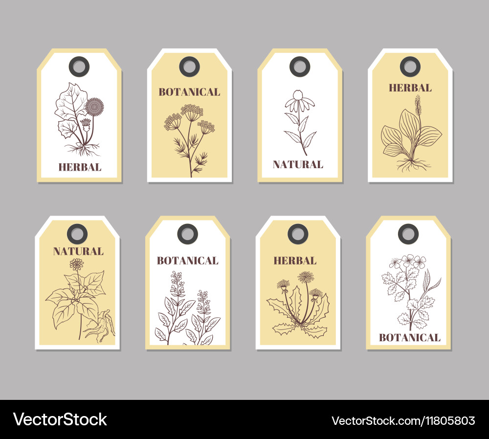 Organic herbs labels for natural products Vector Image