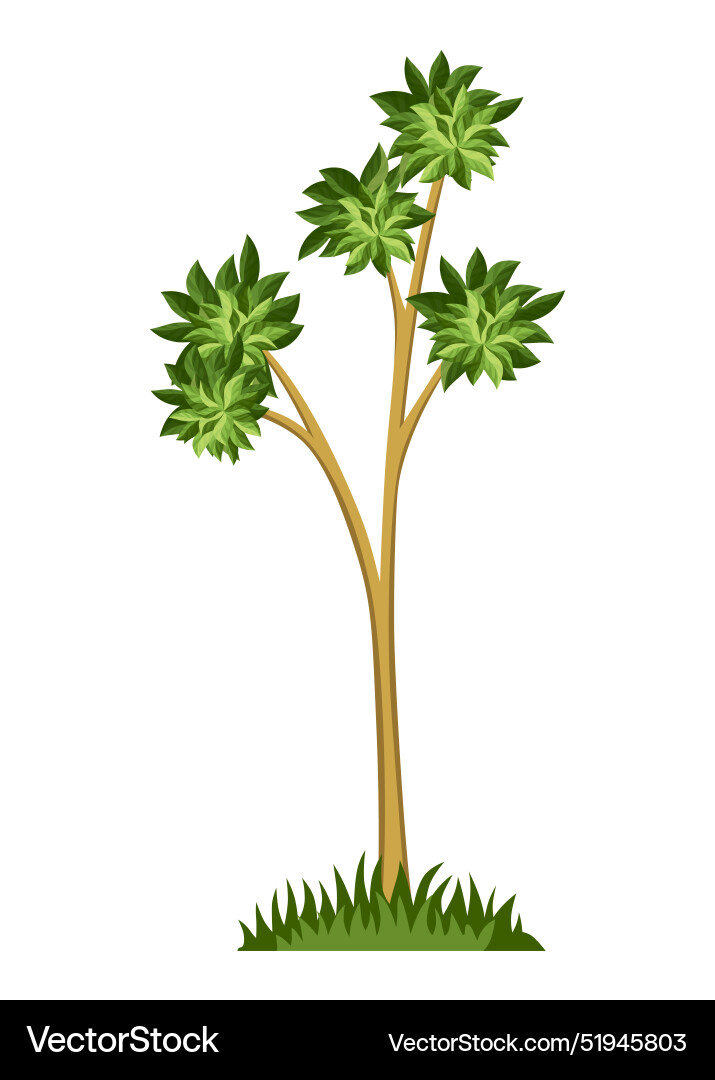 Stage of tree growth small with green Royalty Free Vector