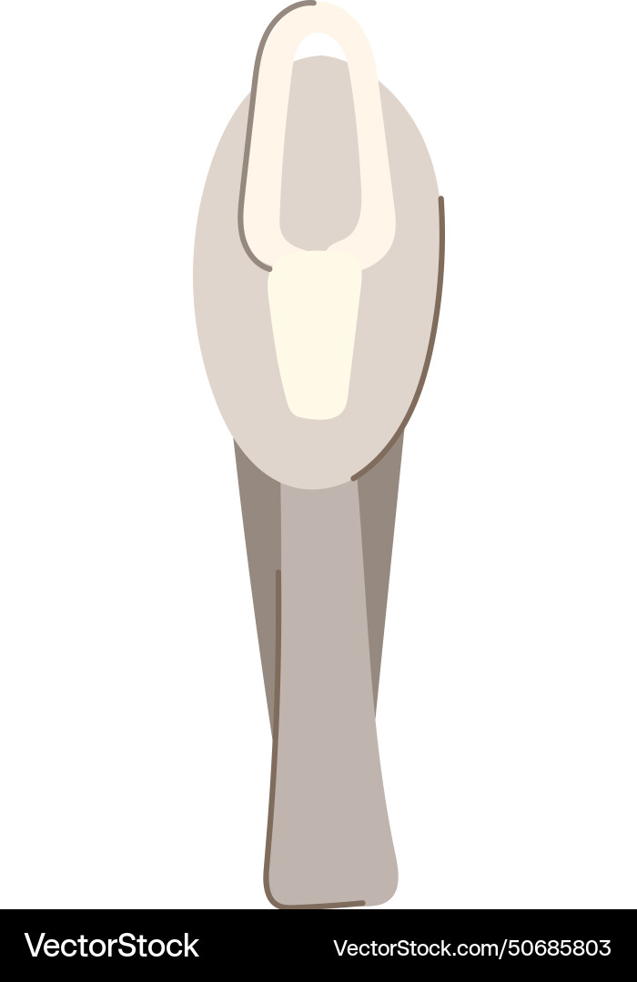 Wire cable organizer cartoon Royalty Free Vector Image