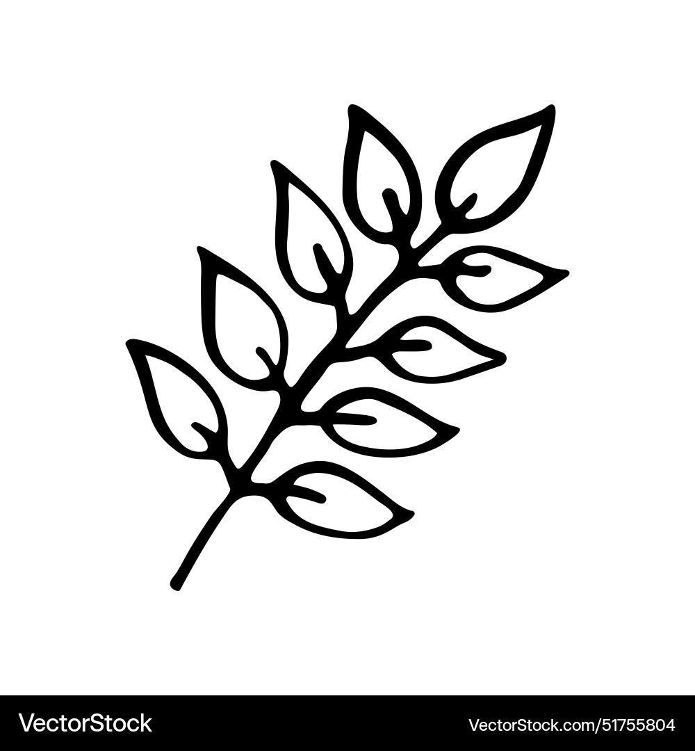 Doodle leaf hand drawn Royalty Free Vector Image