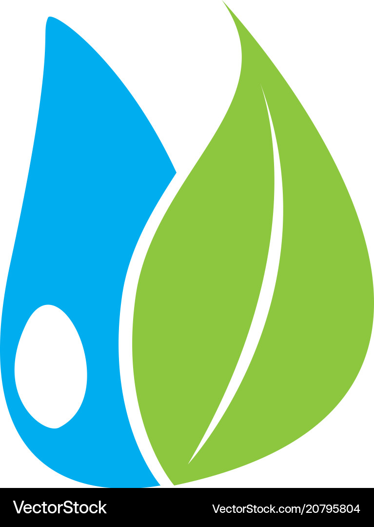 Leaf and a raindrop Royalty Free Vector Image - VectorStock