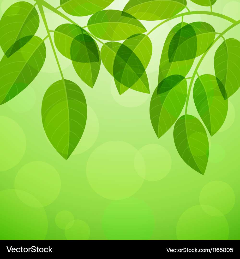 Background with foliage Royalty Free Vector Image