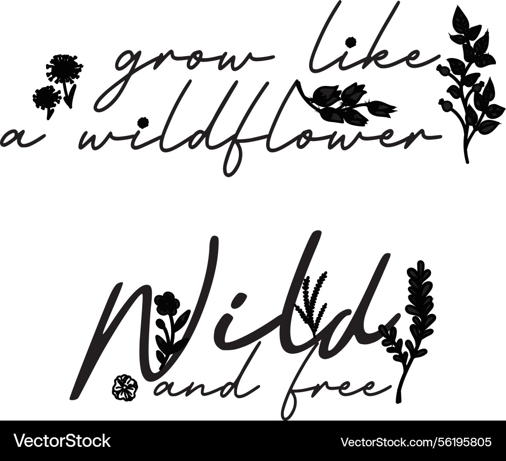 Wildflower floral Royalty Free Vector Image - VectorStock