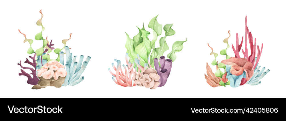 Sea coral elements watercolor Royalty Free Vector Image