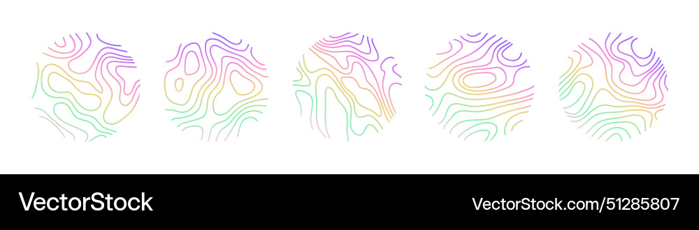 Circular wood rings or topographic map lines Vector Image