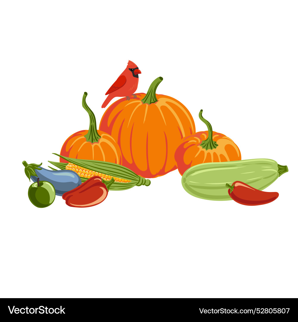 Drawing vegetables and cardinal bird Royalty Free Vector