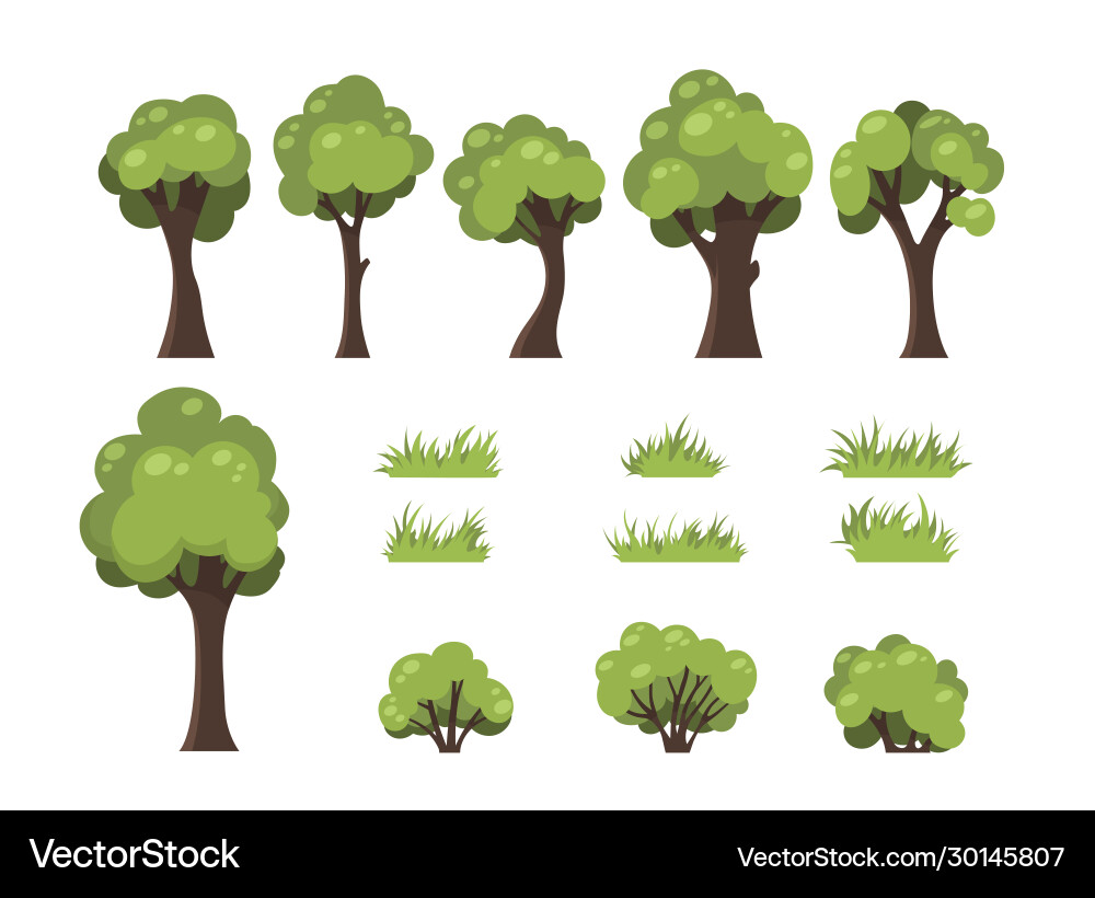 Forest Trees and Plants Royalty Free Vector Image