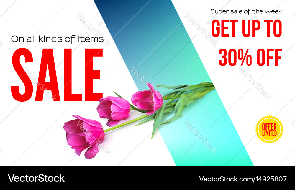 Sale summer get your discount horizontal Vector Image