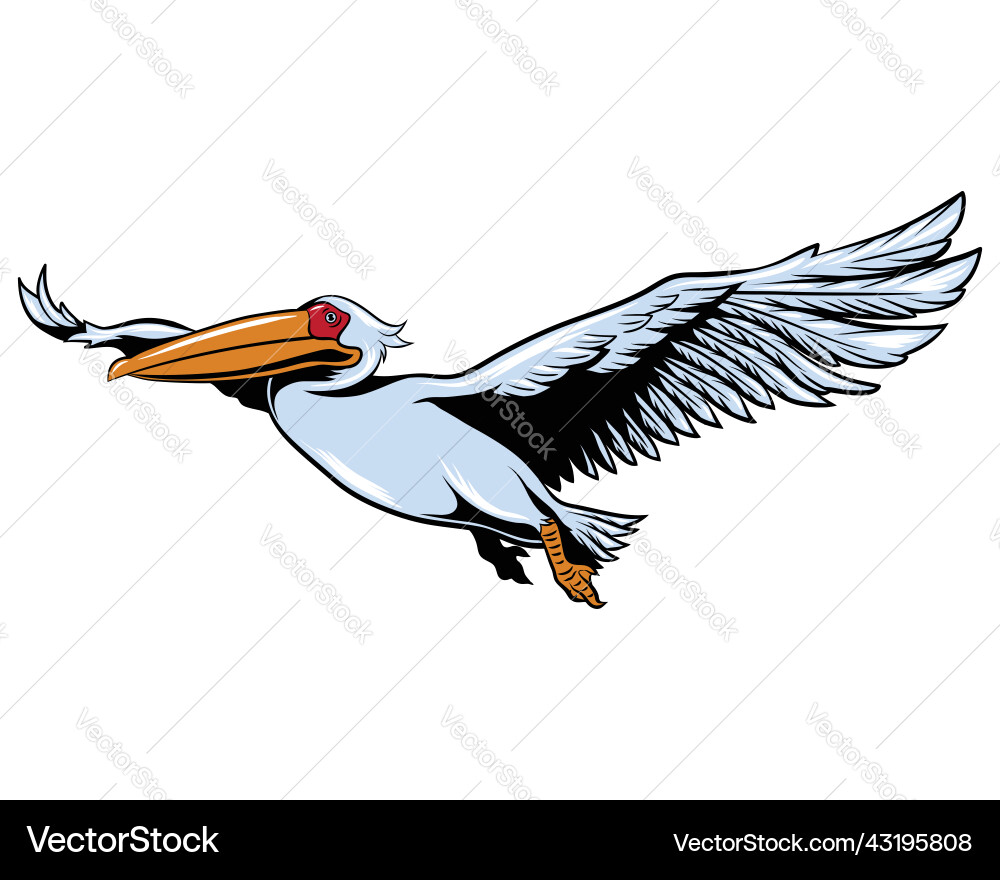 Flying Pelican Bird Royalty Free Vector Image - VectorStock