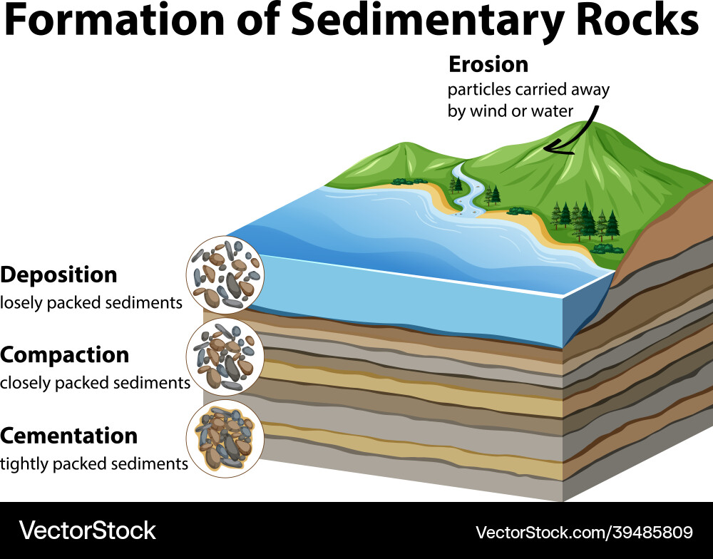 Formation of sedimentary rocks Royalty Free Vector Image