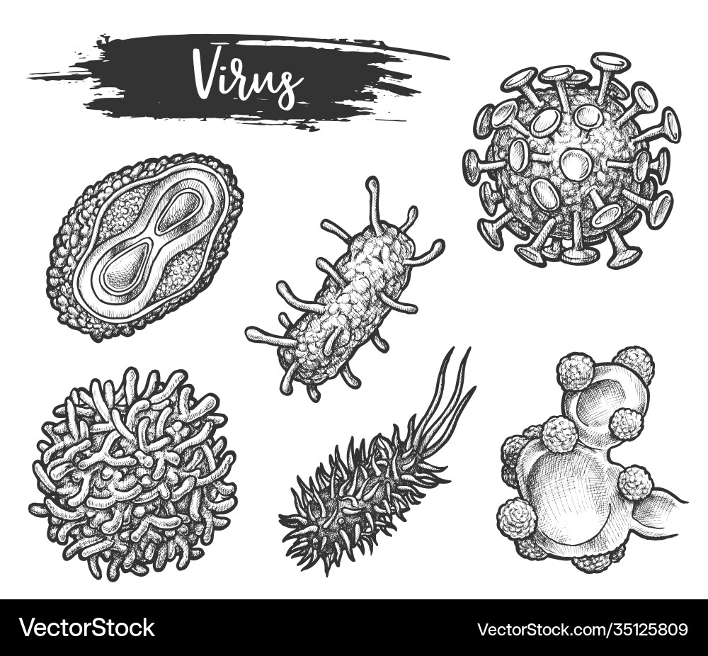 Isolated sketch virus cell types hiv and flu Vector Image
