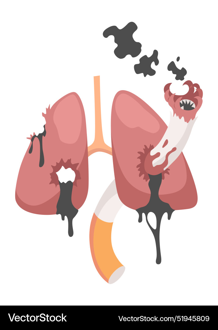 Smoking dangers icon effect on human lung Vector Image