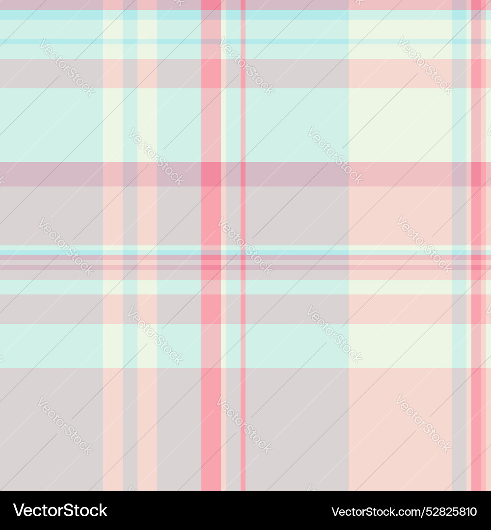 Celebrate fabric check pattern female seamless Vector Image