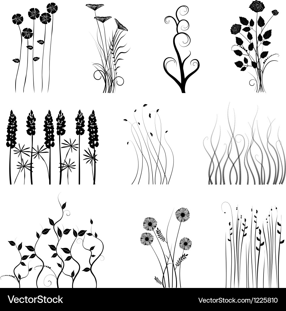 Set of plant Royalty Free Vector Image - VectorStock