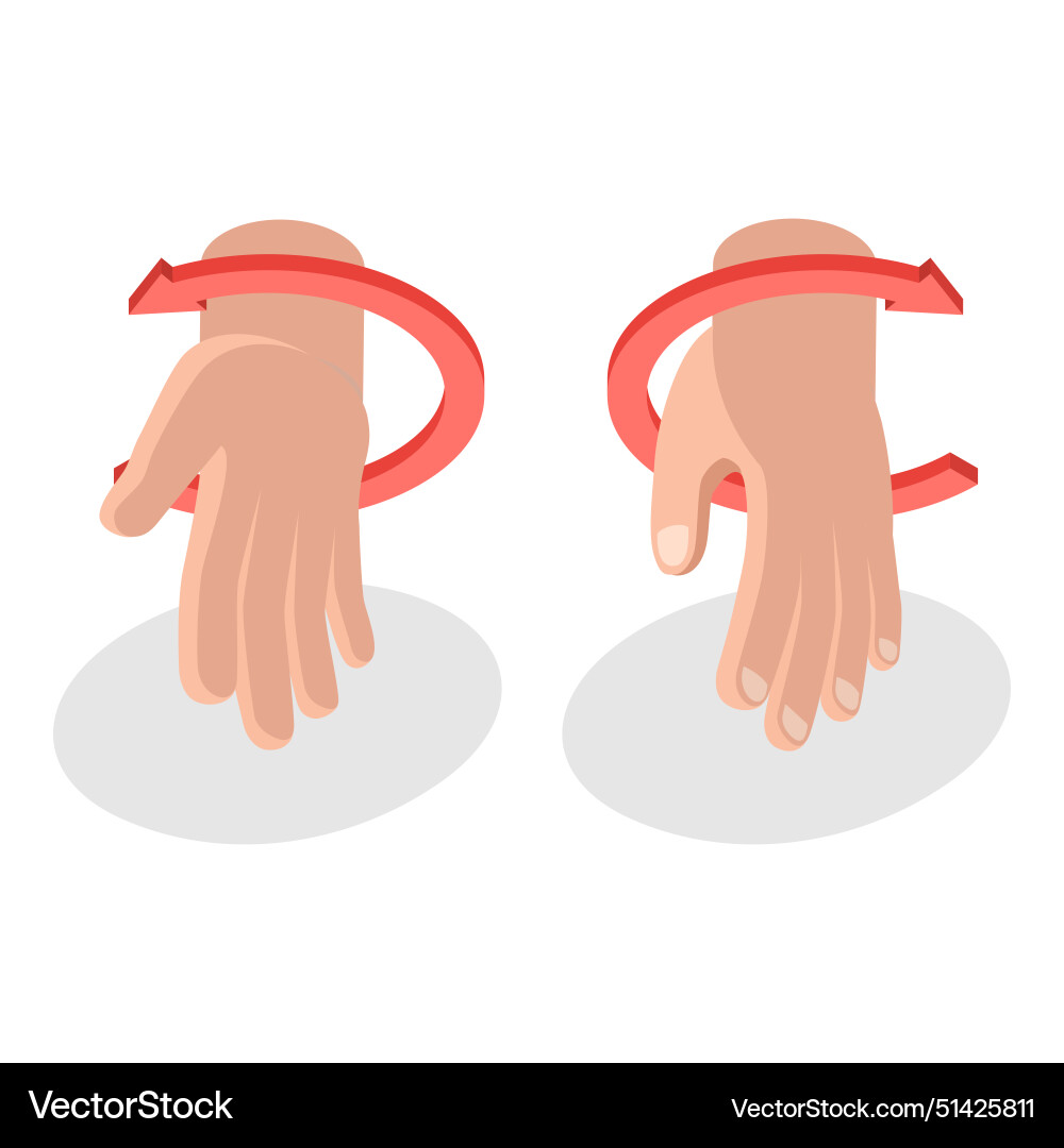 3d isometric flat of muscular motion Royalty Free Vector