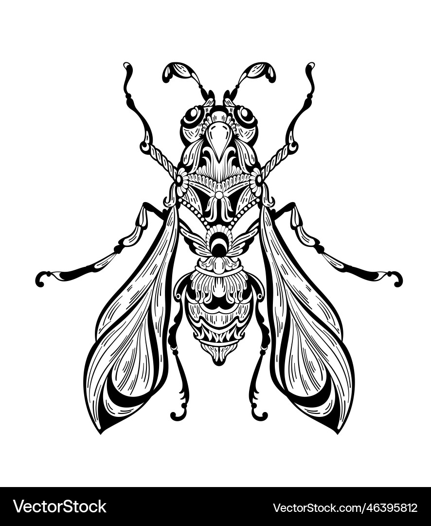 Wasp Royalty Free Vector Image - VectorStock