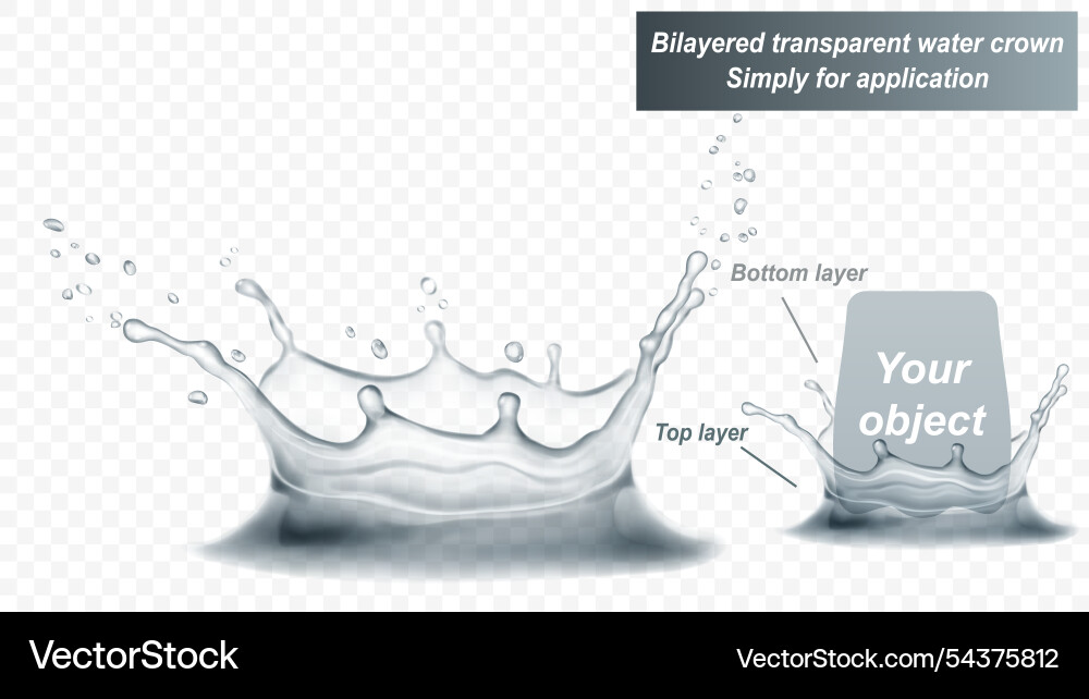 Water crown with two layers splash Royalty Free Vector Image