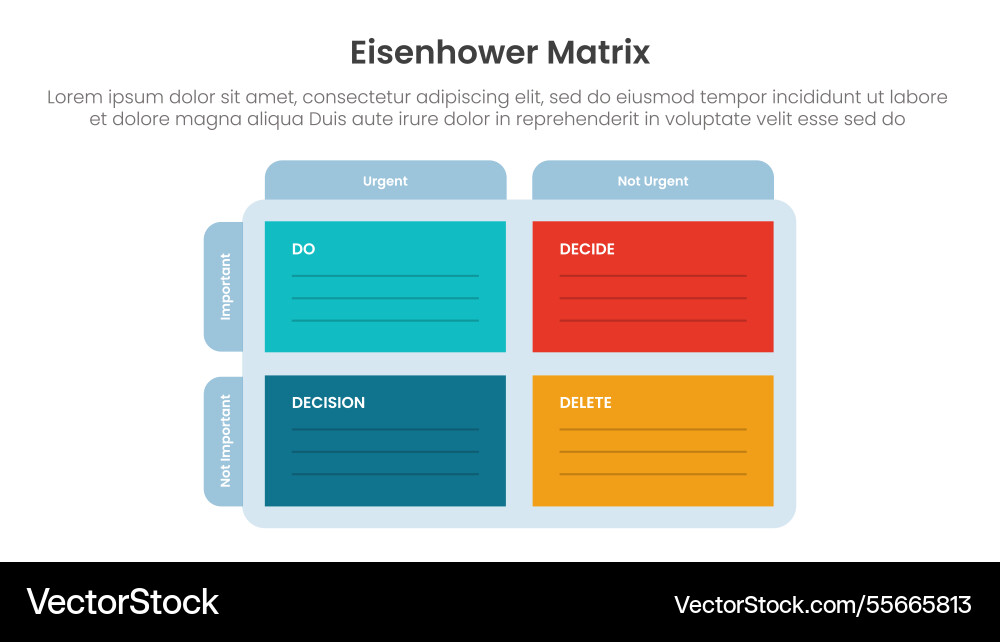 Eisenhower matrix infographic template banner Vector Image