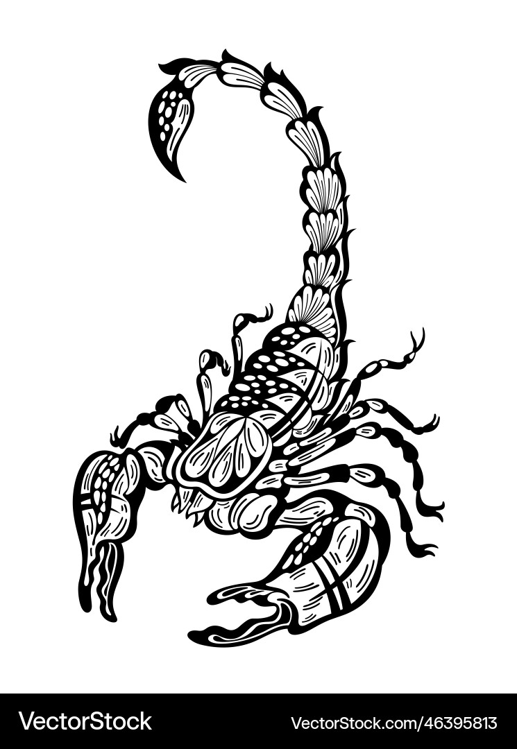 Scorpion logo Royalty Free Vector Image - VectorStock