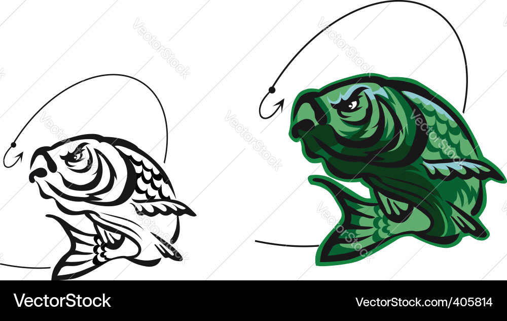 Carp fish Royalty Free Vector Image - VectorStock