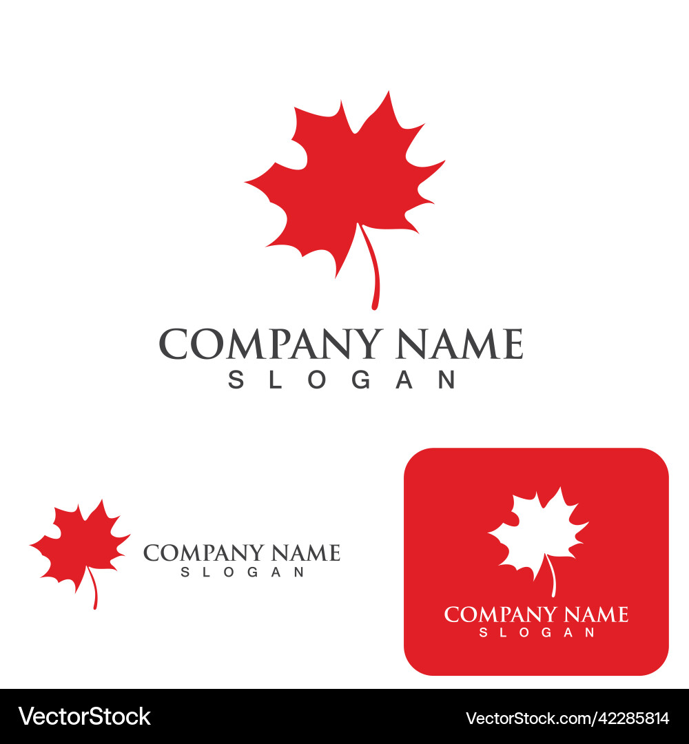 Maple leaf Royalty Free Vector Image - VectorStock