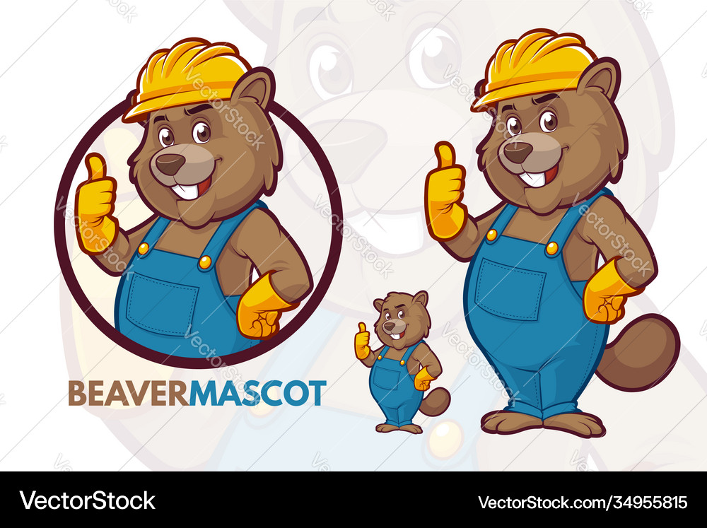 Beaver mascot set Royalty Free Vector Image - VectorStock