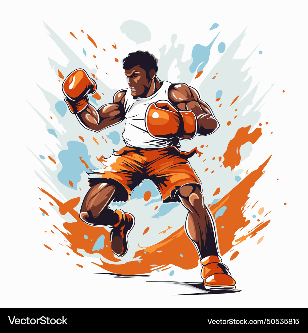 Boxer in action Royalty Free Vector Image - VectorStock