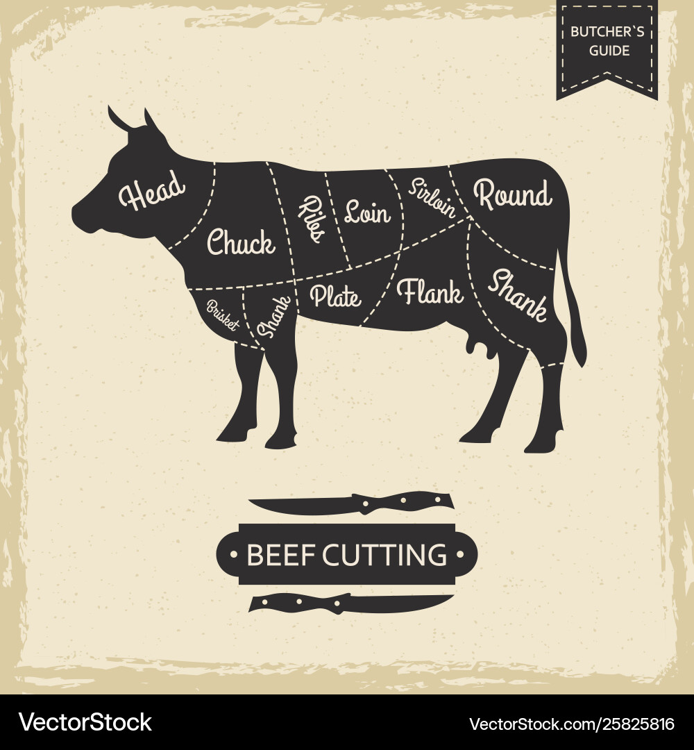 Butchers library vintage page - beef cutting Vector Image