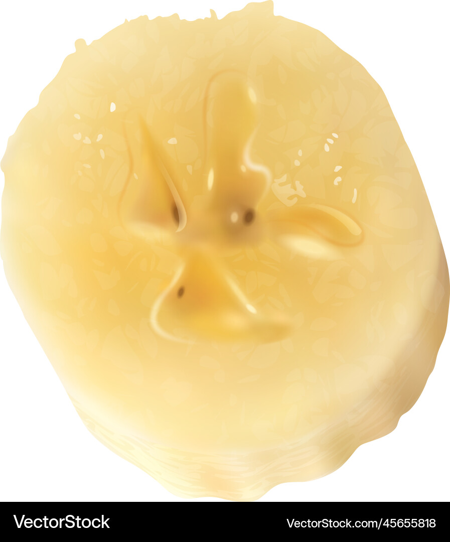 Realistic banana slice composition Royalty Free Vector Image