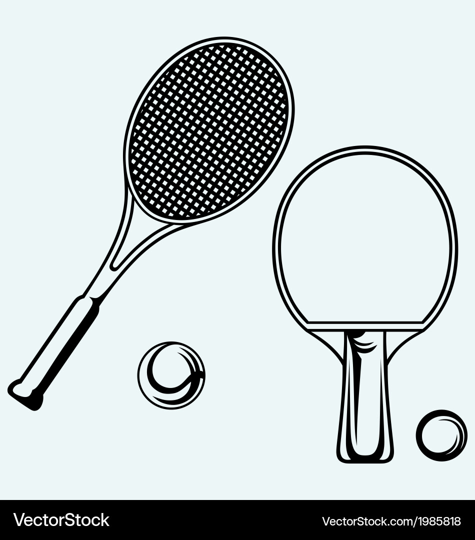 Table Tennis Equipment Royalty Free Vector Image