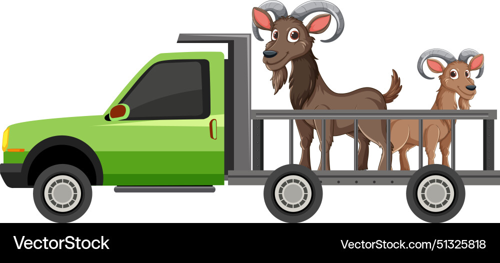 Two rams transported in a green pickup truck Vector Image