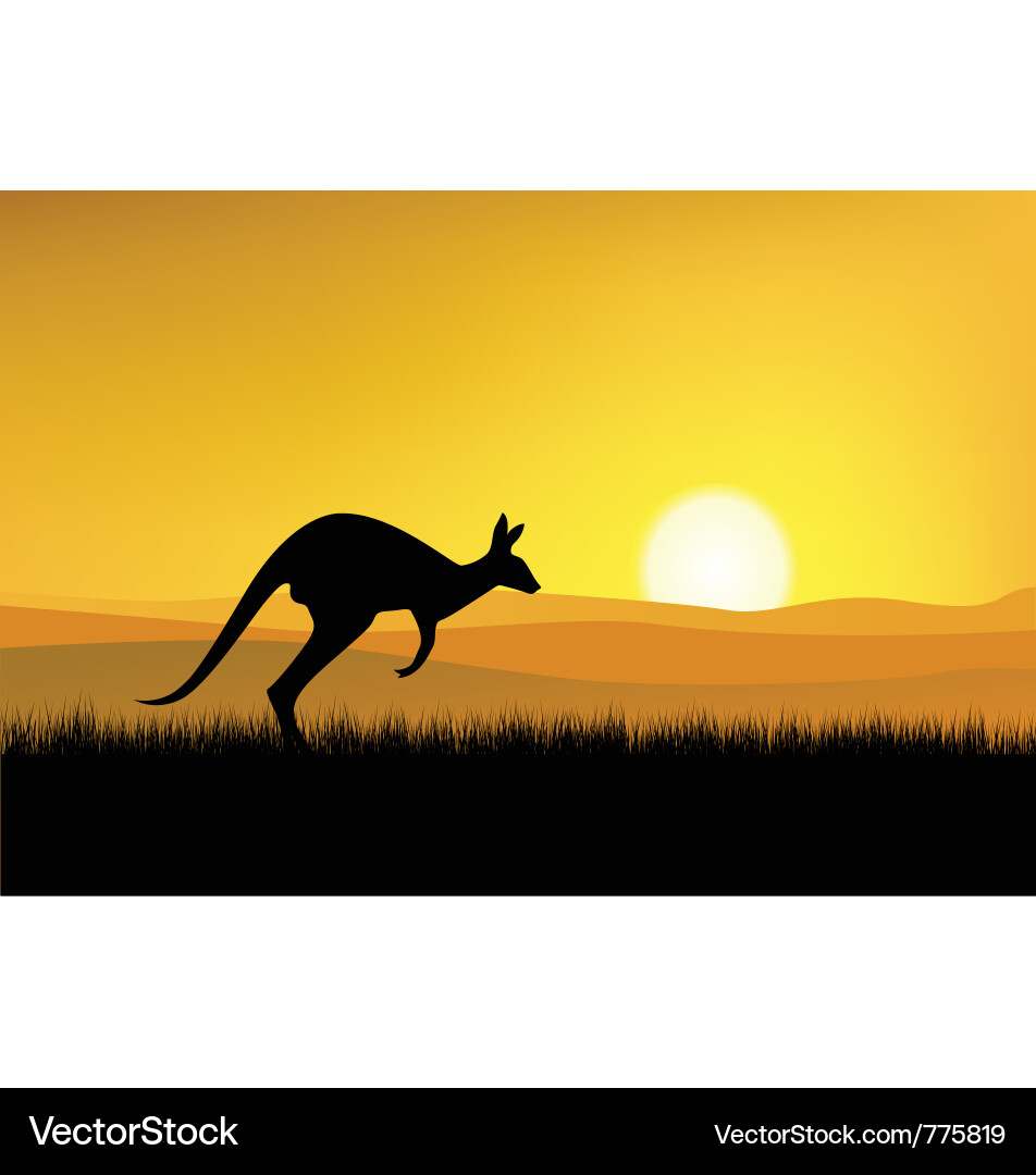 Kangaroo Sunset Vector Images (over 240)