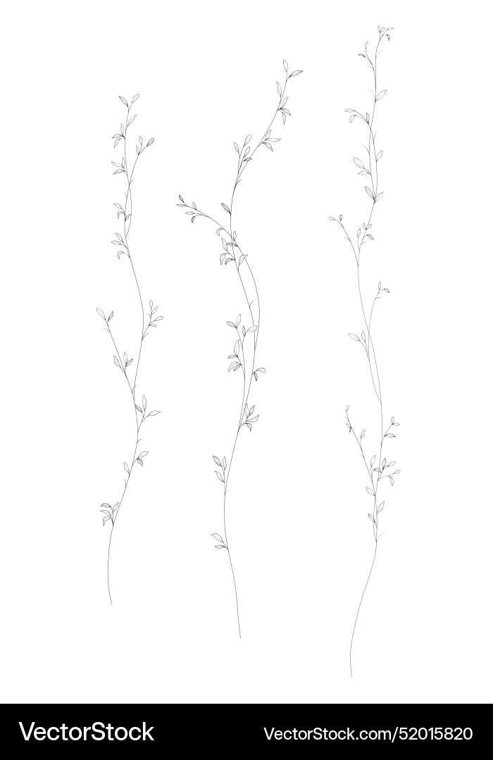 Set of small botanical leaves branches with hand Vector Image