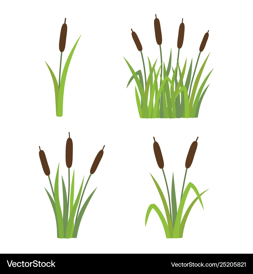 Bull Rush Vector Images (over 120)