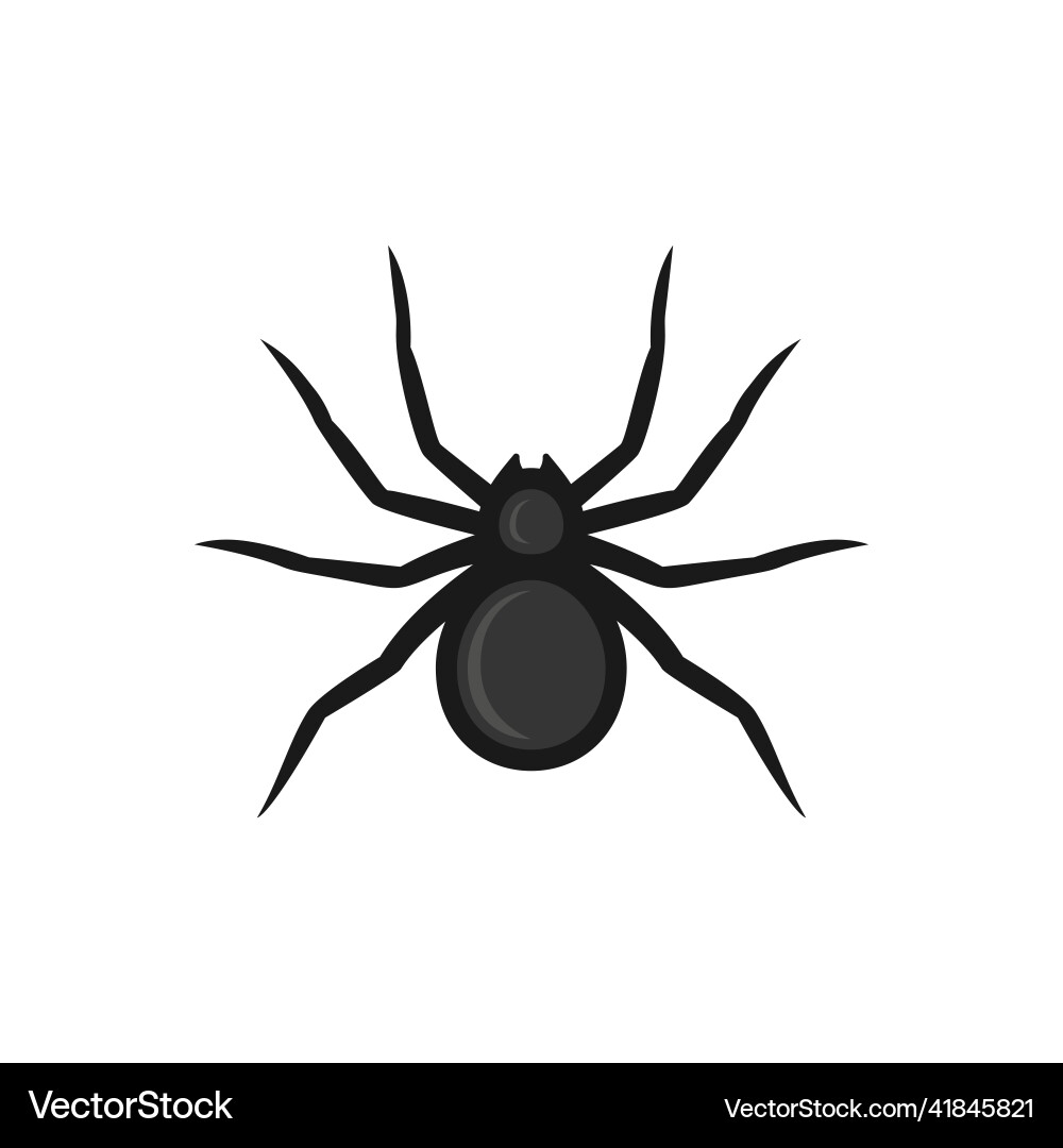 Black spider icon image Royalty Free Vector Image