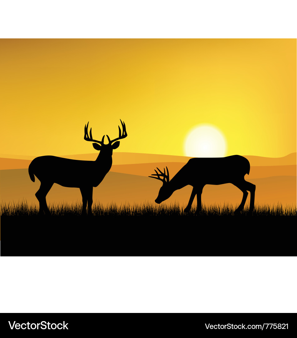 Deer with sunset background Royalty Free Vector Image