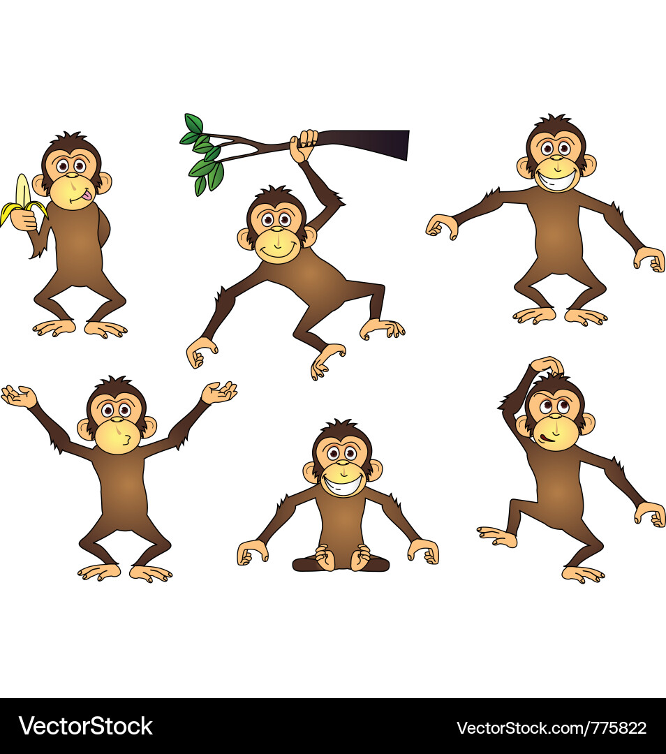 Monkey Cartoon Collection Royalty Free Vector Image