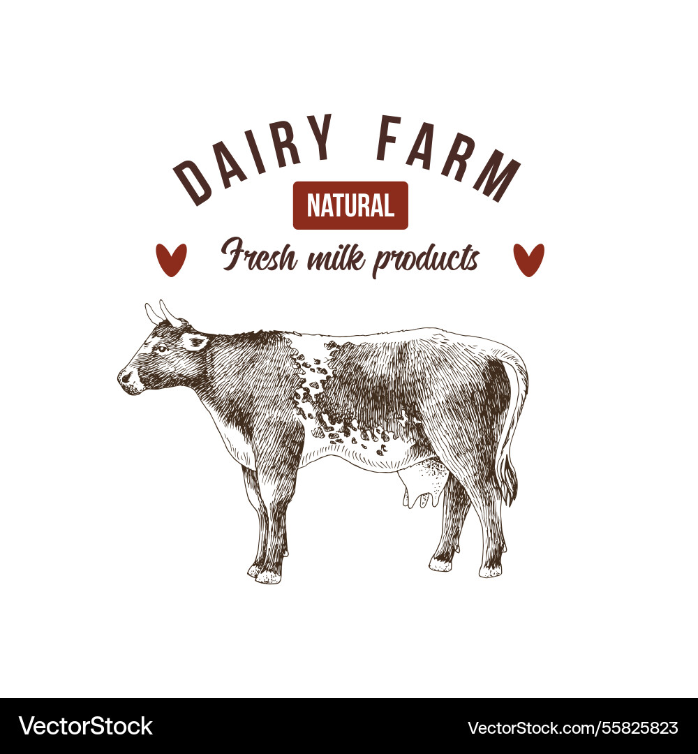 Dairy farm logo template with hand drawn cow Vector Image