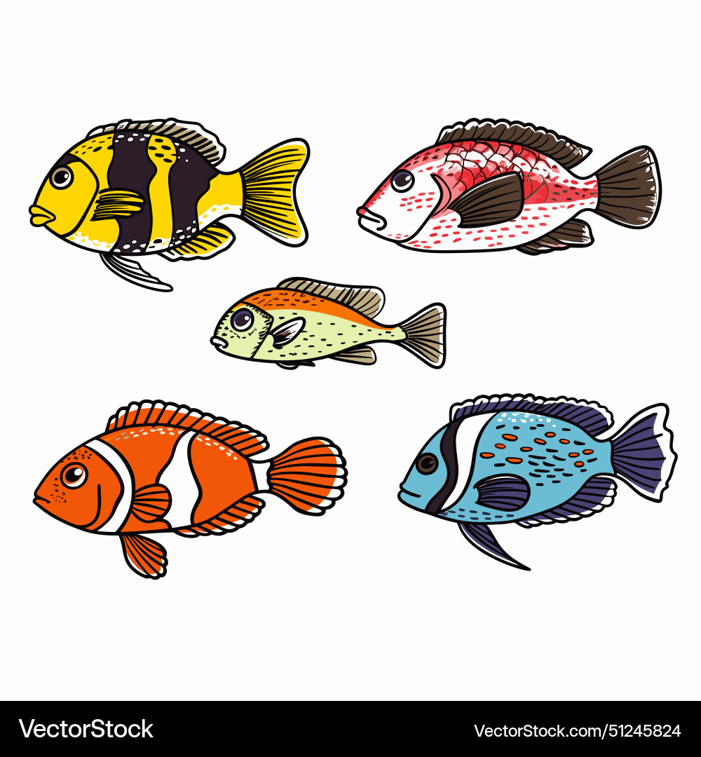 Five colorful tropical fish Royalty Free Vector Image