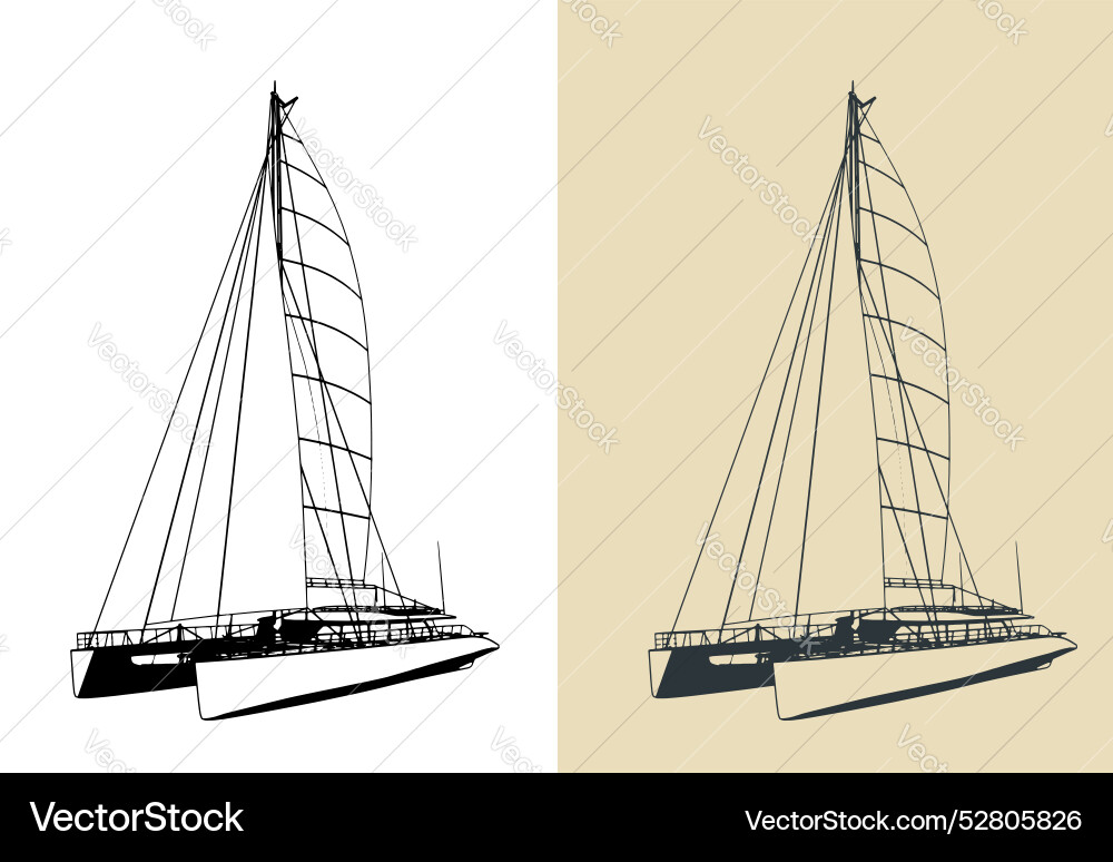 Large sailing catamaran Royalty Free Vector Image