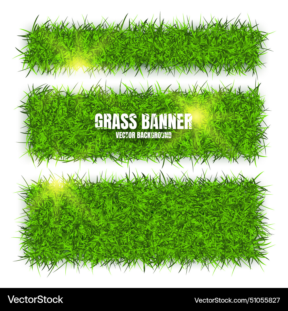 Green grass banners background field meadow Vector Image
