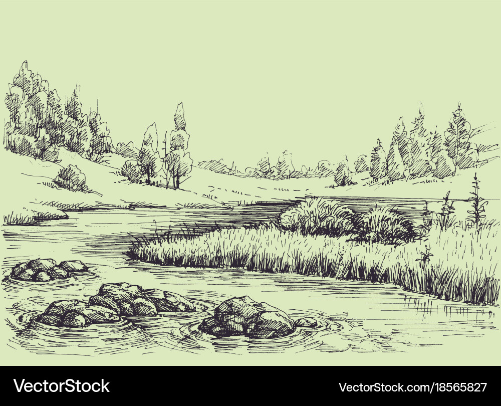 River flow nature landscape Royalty Free Vector Image