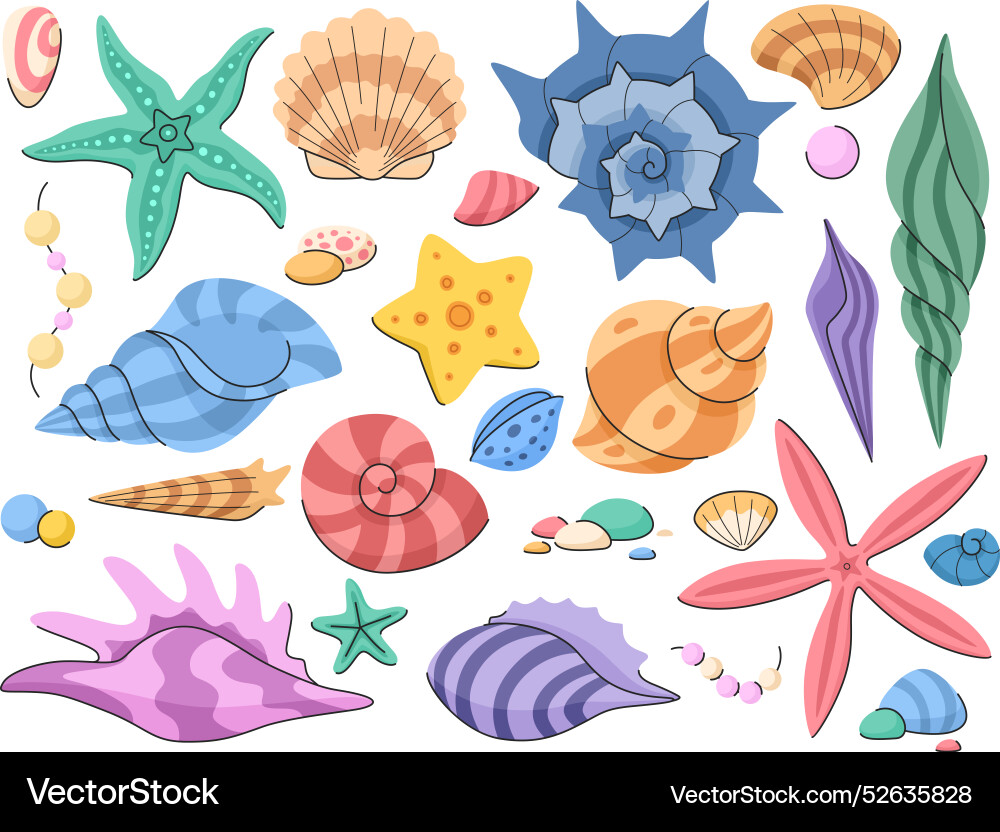 Seashells collection multicolored mollusks Vector Image