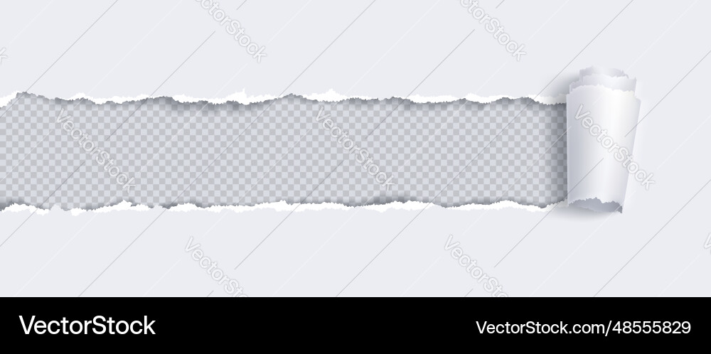 Paper banner with torn hole and rolled edge Vector Image