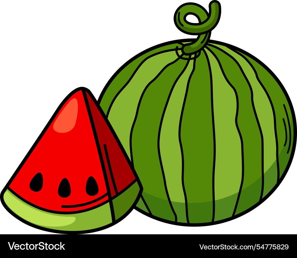 Water melon outline white on background Royalty Free Vector