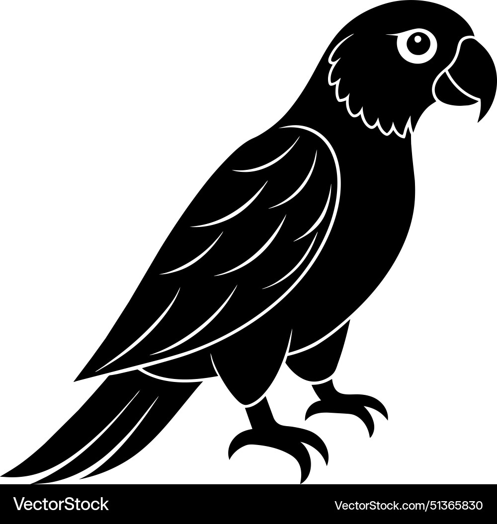 Simple parrot silhouette Royalty Free Vector Image