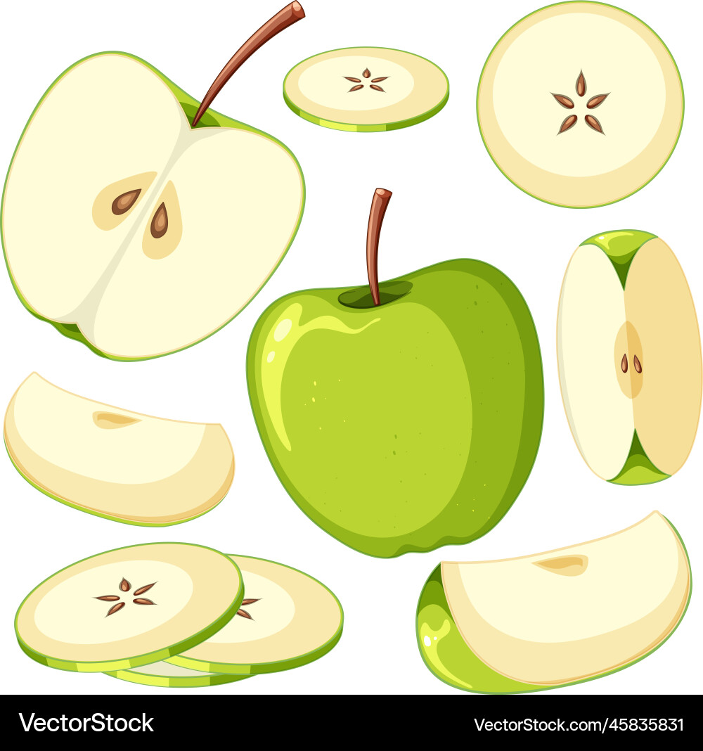 Set of green apple fruit Royalty Free Vector Image